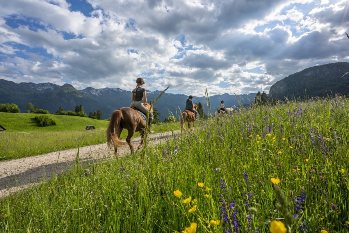 Cross-country tours – Ranč Mrcina