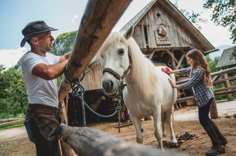 Riding for beginners – Ranč Mrcina