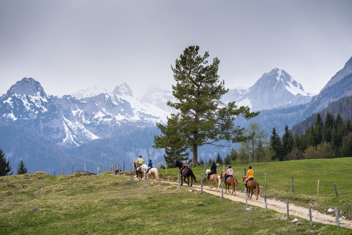 Ranč Mrcina – jahanje v raju